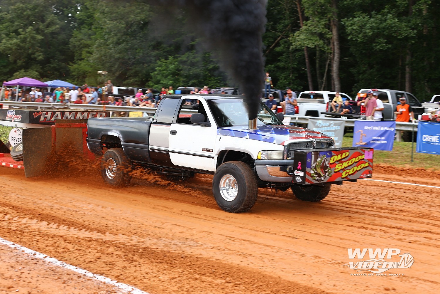 Amelia August 12 2023 - Photos - willwhitt.com